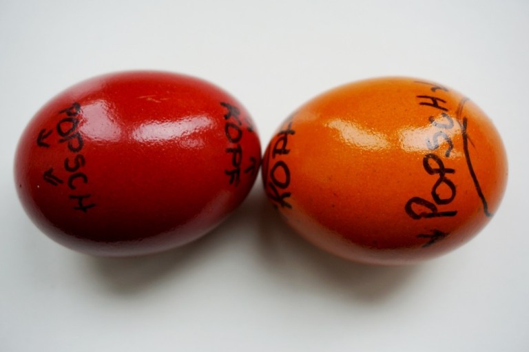 Egg Boxing 101 - The Ultimate Guide to Becoming a Winning Egg Boxer ...